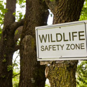 Sign indicating in the countryside - wildlife safety zone - Animal ...