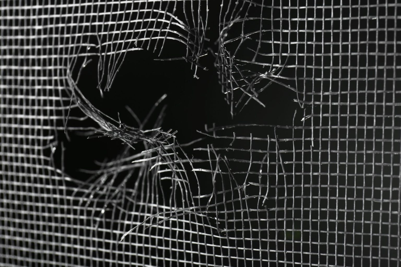 Torn window screen against black background, closeup - Animal Capture ...